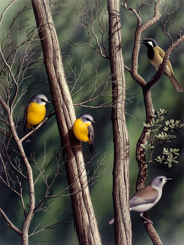 Ti Tree Birds Water-based media on rag paper. 693x521mm.